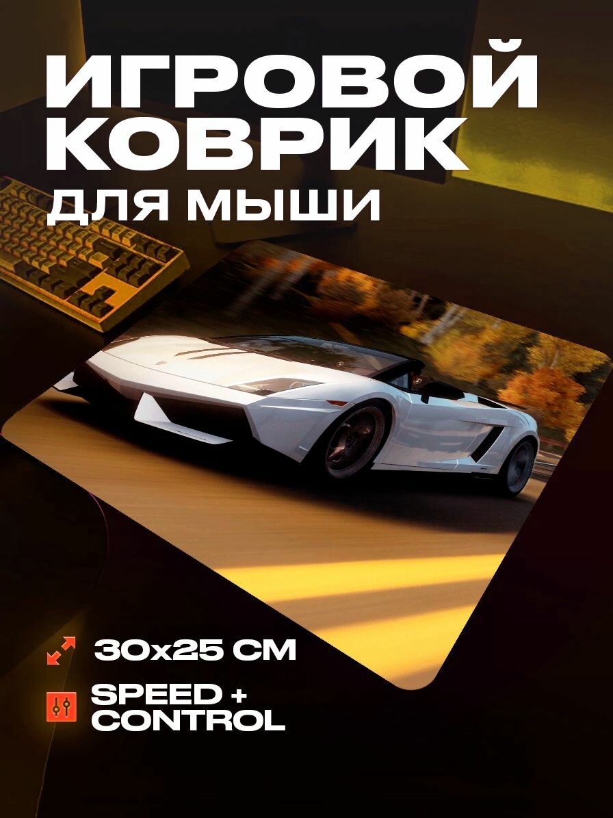 Коврик для мыши игровой Forza horizon 5 2 30x25 см