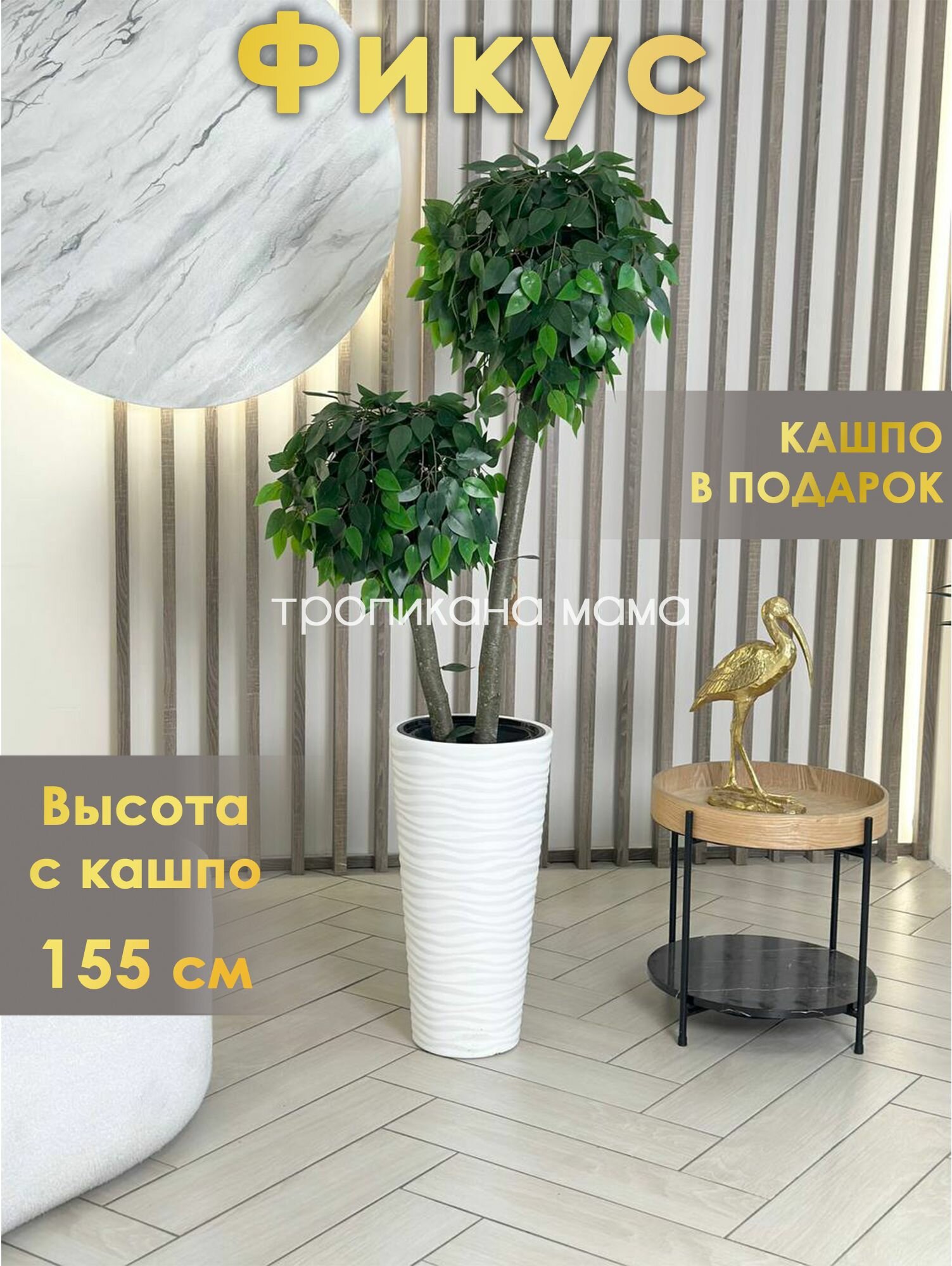 Искусственное растение фикус в кашпо, 155 см