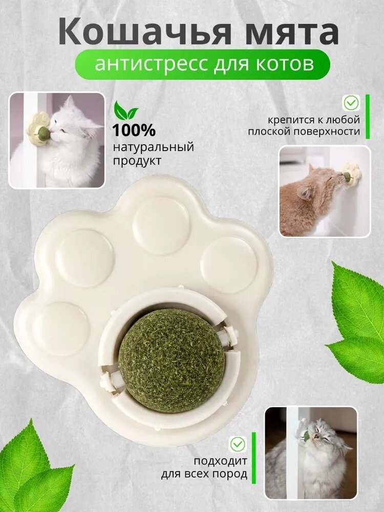 Кошачья мята, антистресс, лакомство для кота