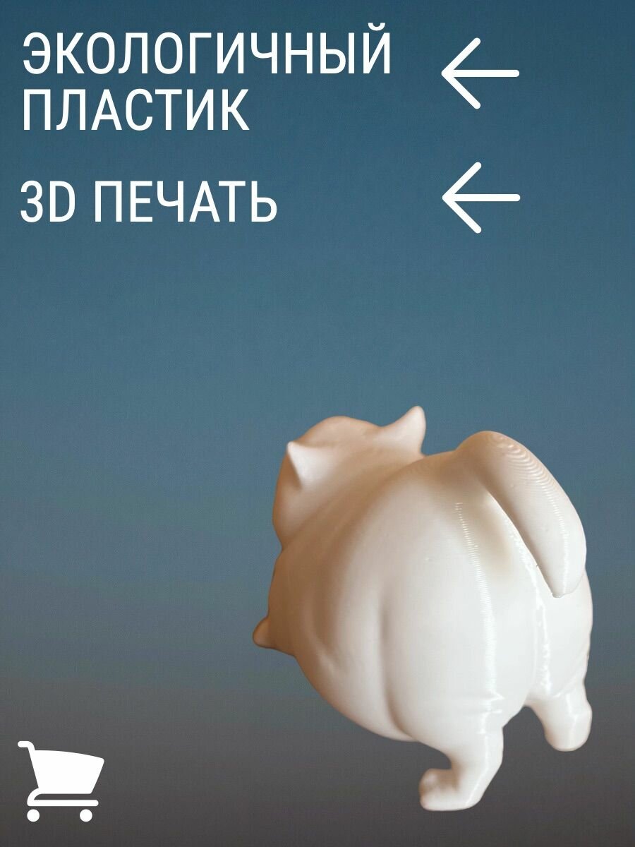 Зевающий кот белый — фото 1