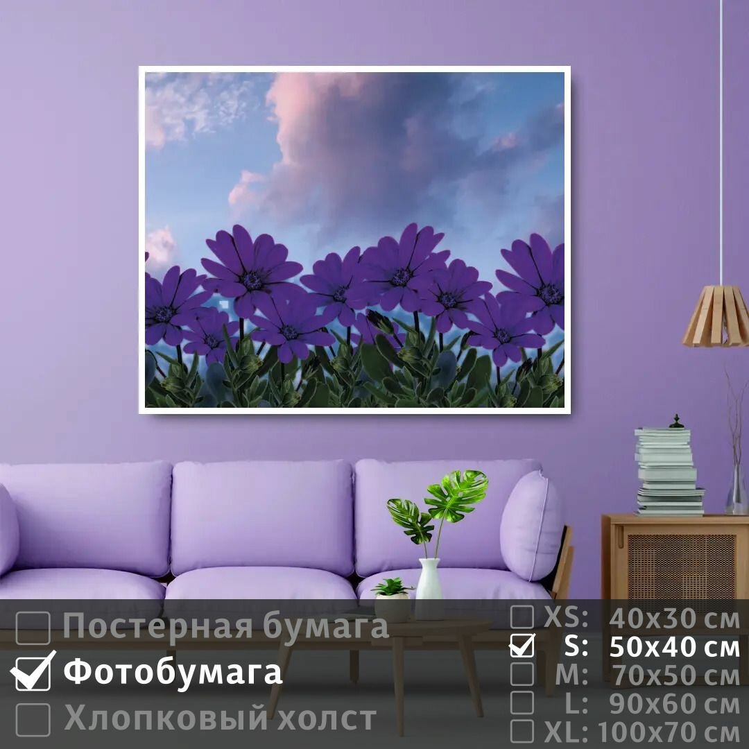 Постер на фотобумаге Фиолетовые Полевые Цветы 50х40 см ПолиЦентр