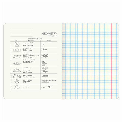 Тетрадь предметная "кот-энтузиаст" 48 л, TWIN-лак, геометрия, клетка, подсказ, BRAUBERG, 404561