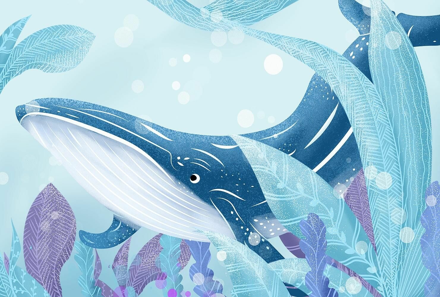 Фотообои Z-047 Голубой кит 400х270 DIVINO