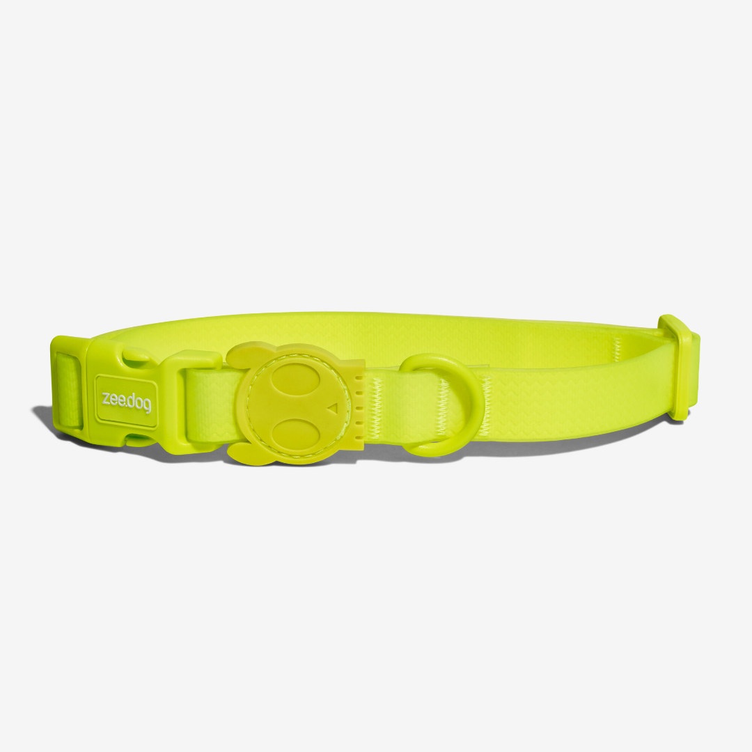 Ошейник NEOPRO LIME Zee.Dog (салатовый / M)