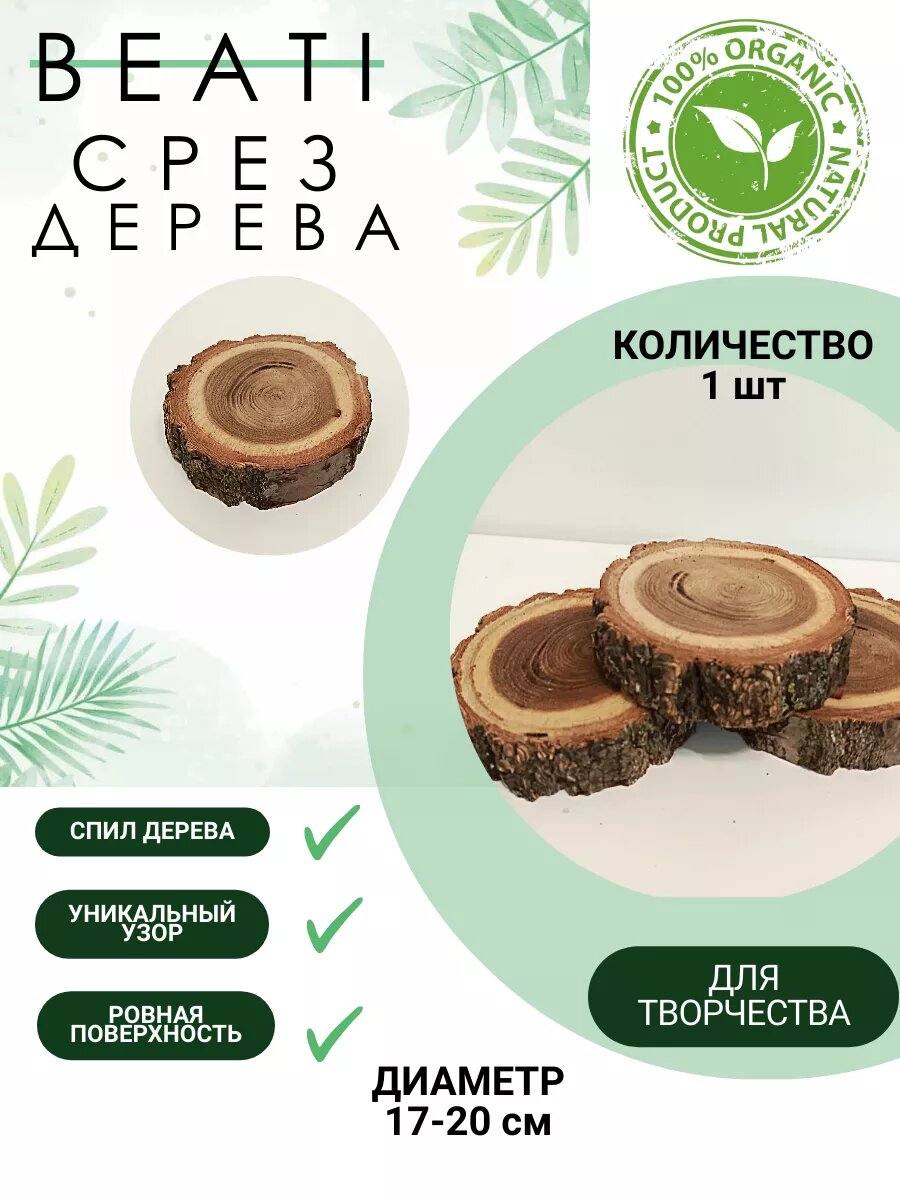 Спил срез дерева