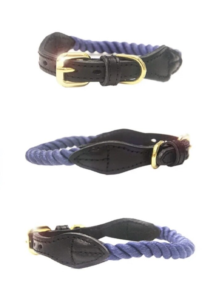 Ошейник для собак Japan Premium Pet С характером, натуральная кожа, синий