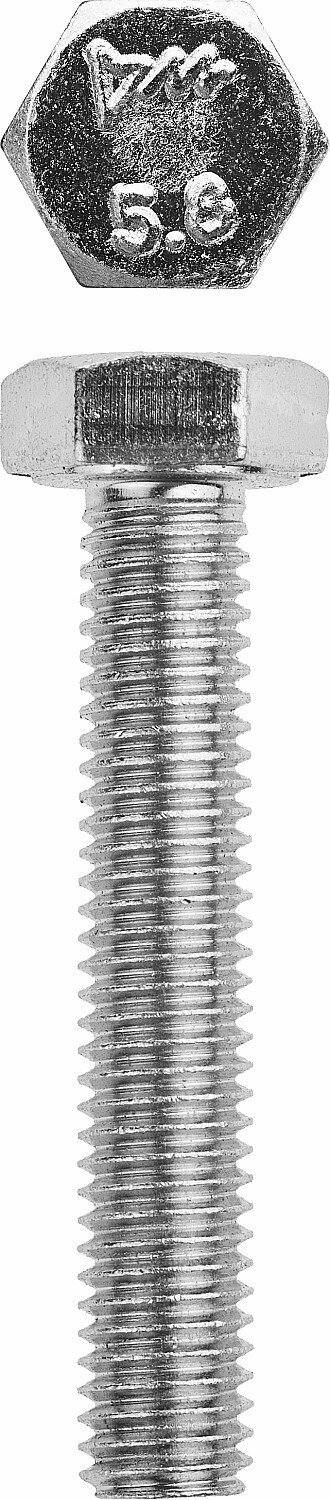 Болт ЗУБР M8x50мм, ГОСТ 7798-70, кл. пр.5.8, 5кг 303080-08-050