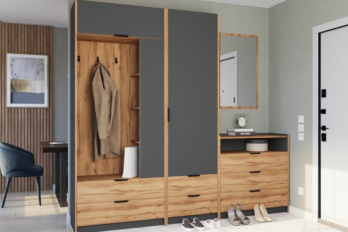 Прихожая Санти 4 Графит для обуви для одежды двухдверный 300*220*40