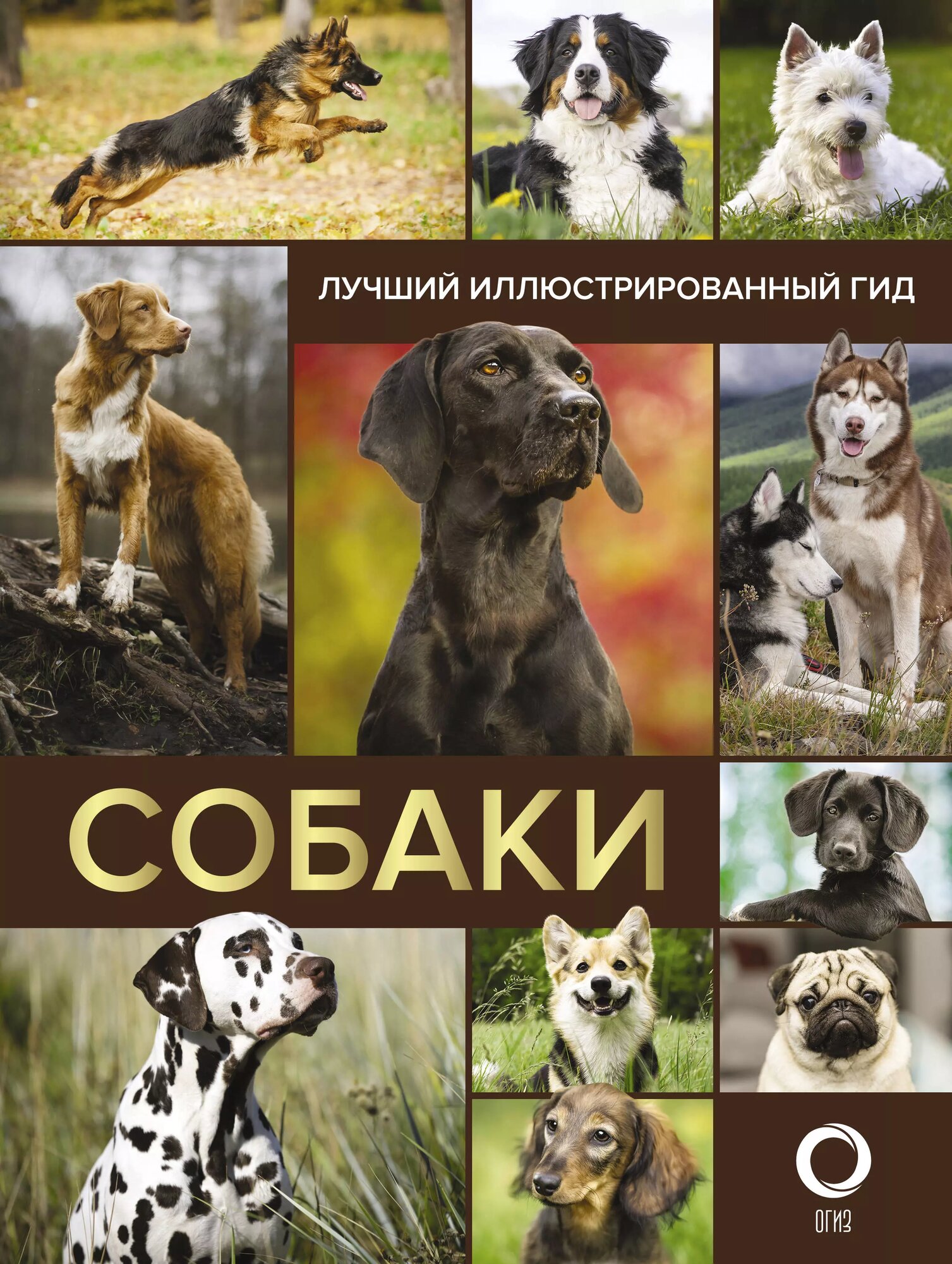 Собаки. Лучший иллюстрированный гид ()