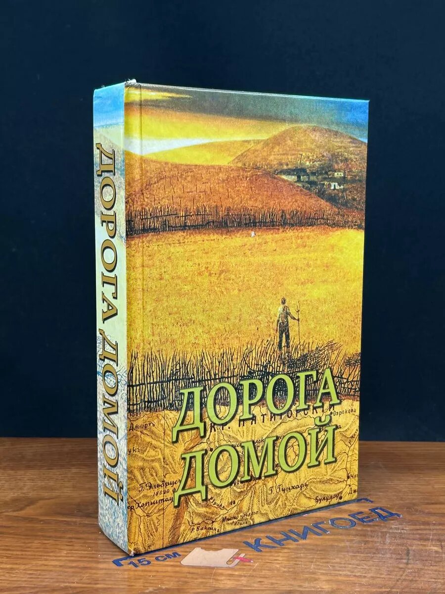 Книга. Дорога домой 2011 (2041056783880)