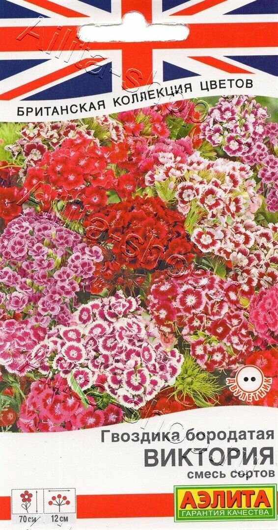 Гвоздика Виктория (3 упаковки), смесь окрасок