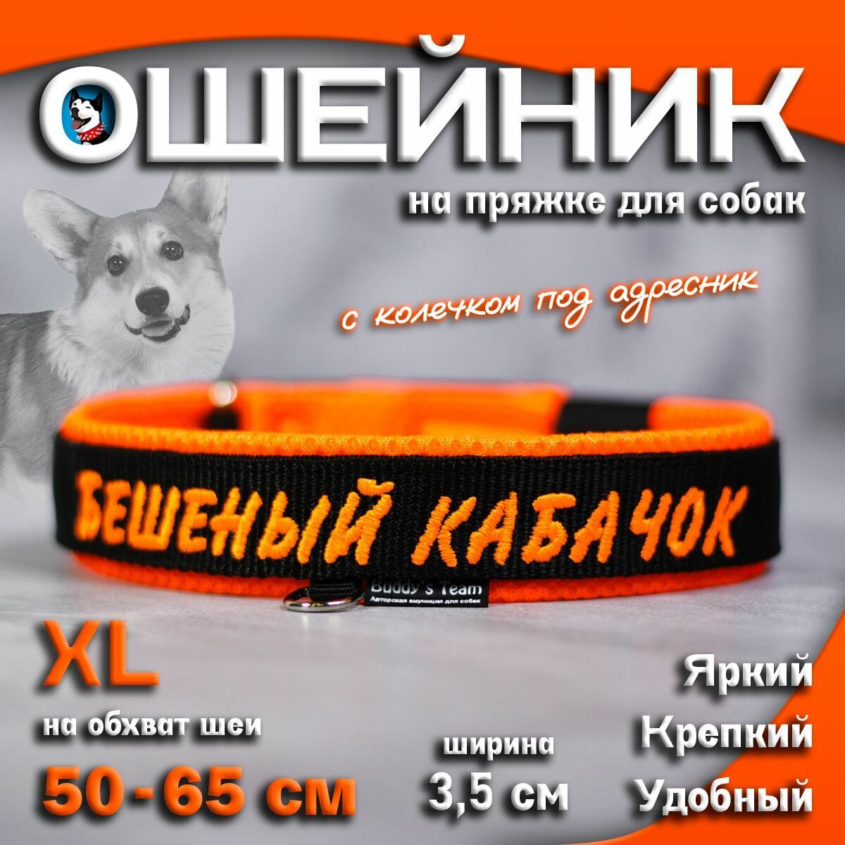 Ошейник для собак Buddy team на пряжке, с вышивкой бешеный кабачок, ширина 3,5 см, с мягким подкладом для средних и крупных пород, размер XL