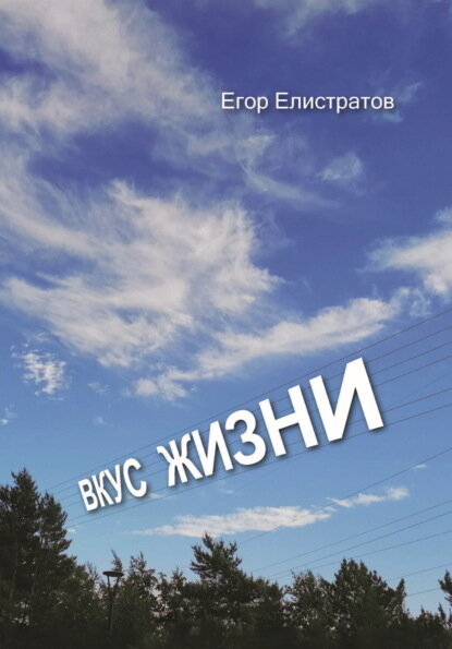 Вкус жизни [Цифровая книга]