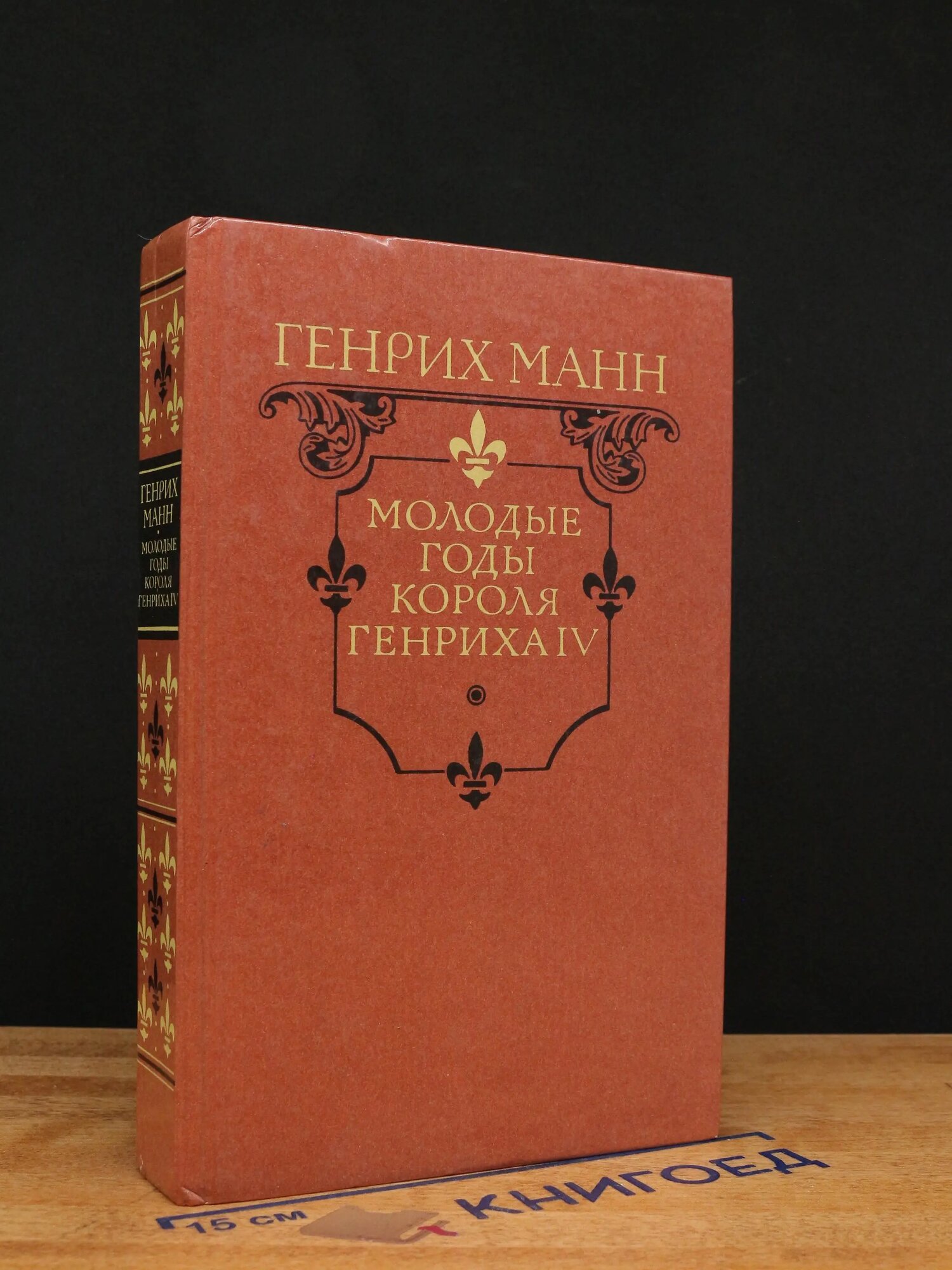 Книга. Молодые годы короля Генриха IV 1988 (2046313651919)