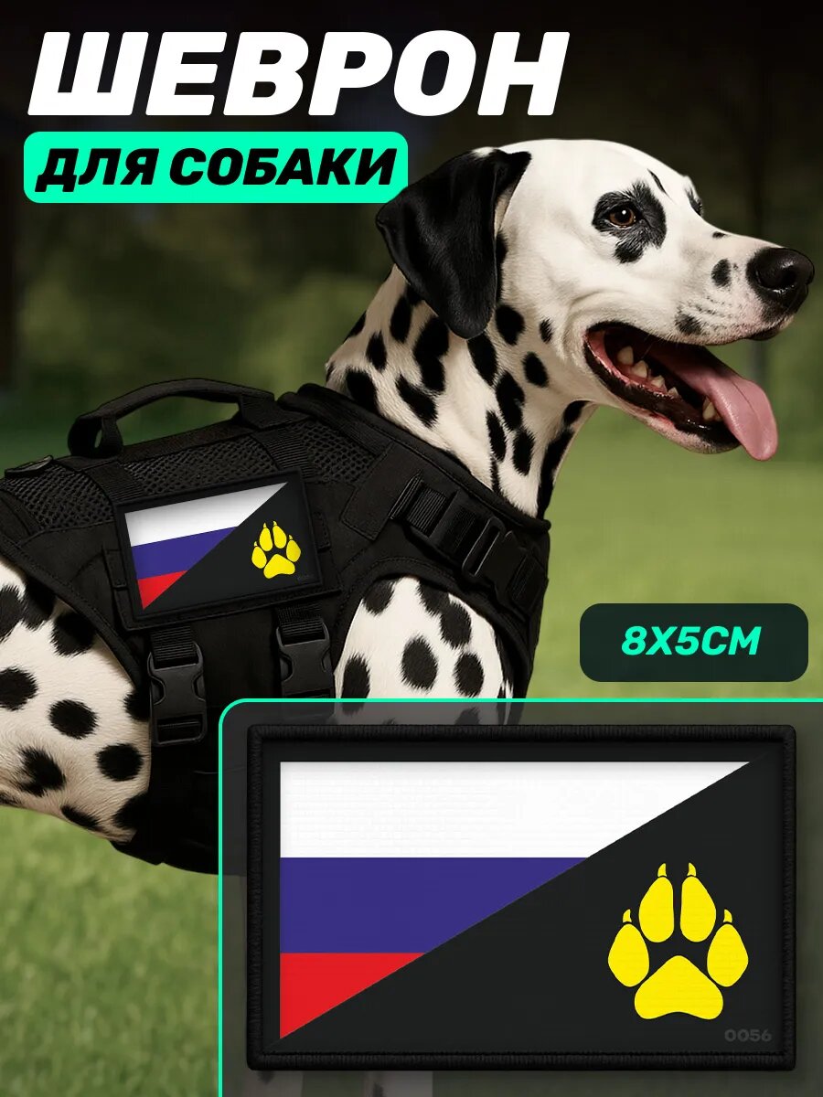 Шеврон на шлейку для собак Кинолог флаг РФ