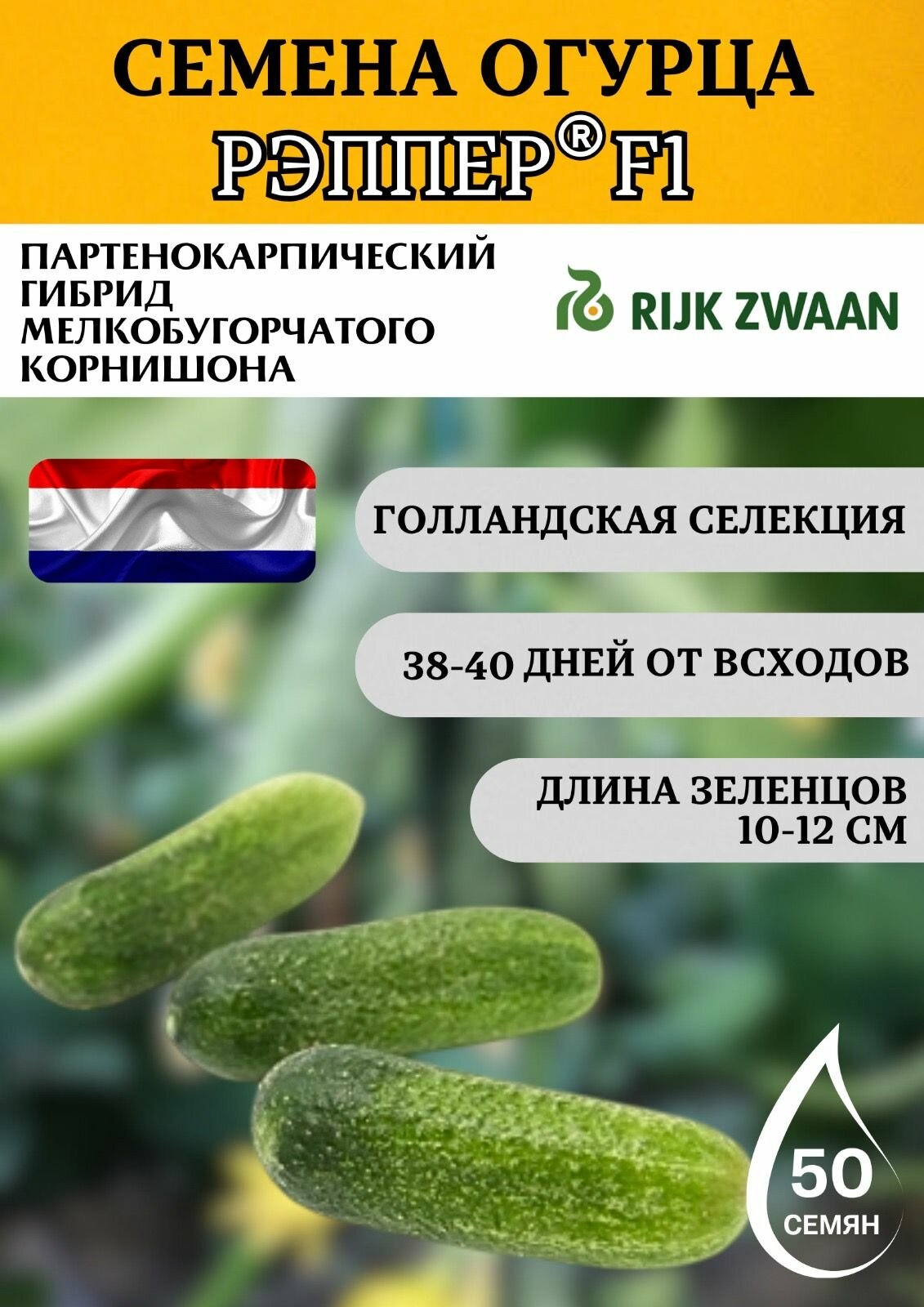 Семена огурца Rijk Zwaan Рэппер F1 50 штук гибрид партенокарпический