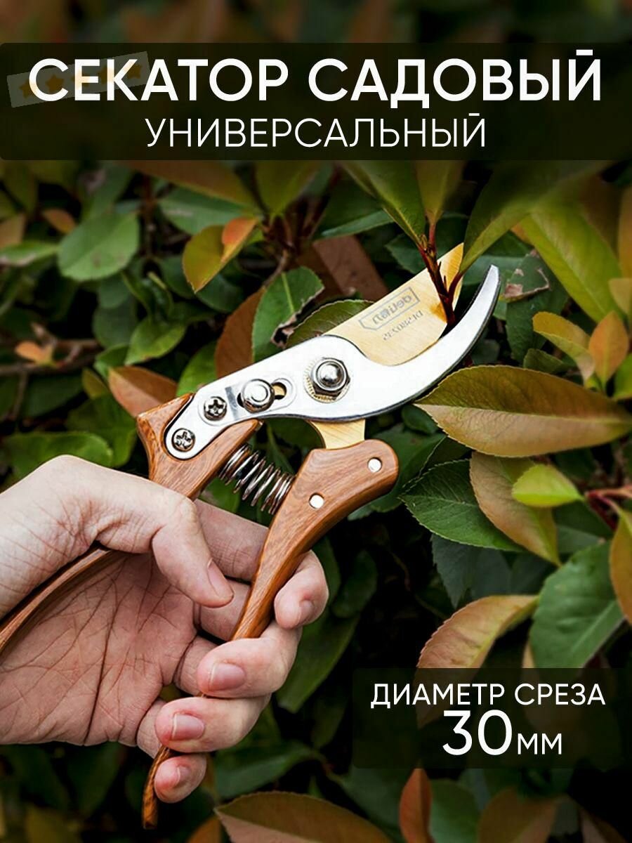 Секатор