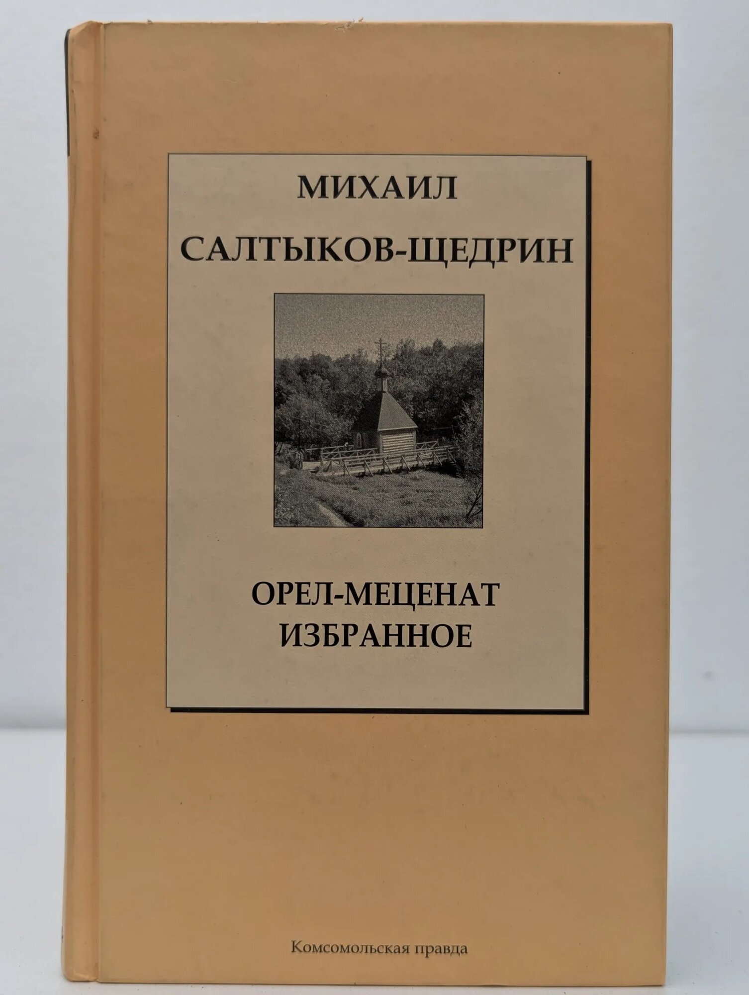 Орел-меценат. Избранное Салтыков-Щедрин Михаил Евграфович 2008