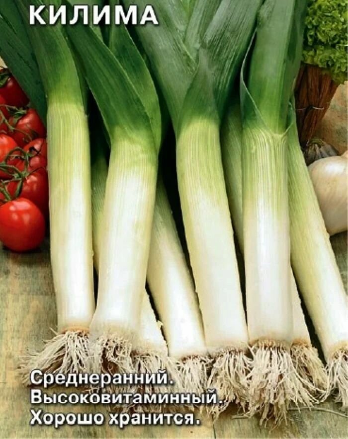 Коллекционные семена лука порей Килима