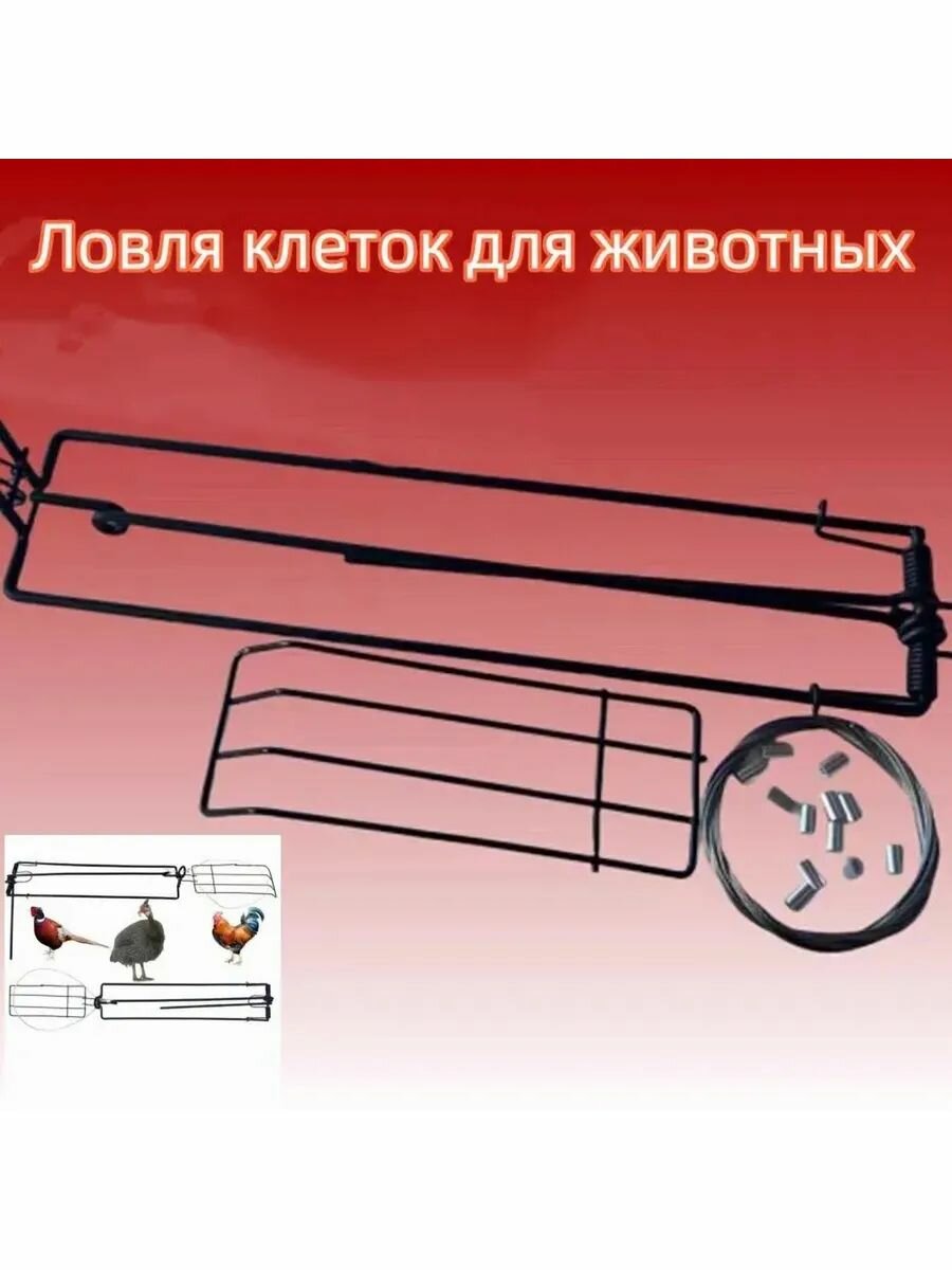 Домашняя ловушка для птиц инструменты для кемпинга охотничьей клетки голубей, фазанов уток других птиц