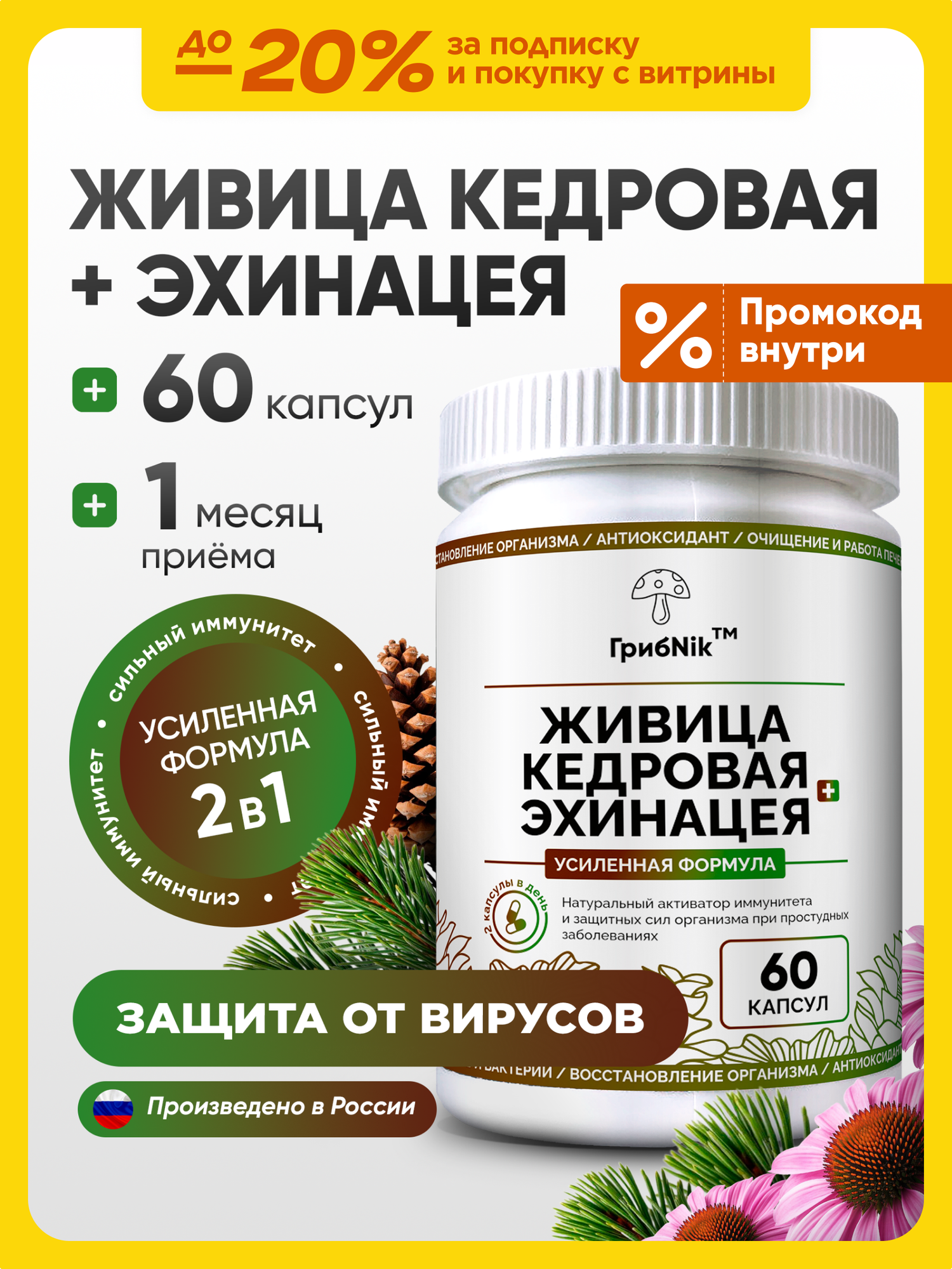 Живица кедровая + эхинацея для иммунитета противовирусное 60 капсул, грибnik