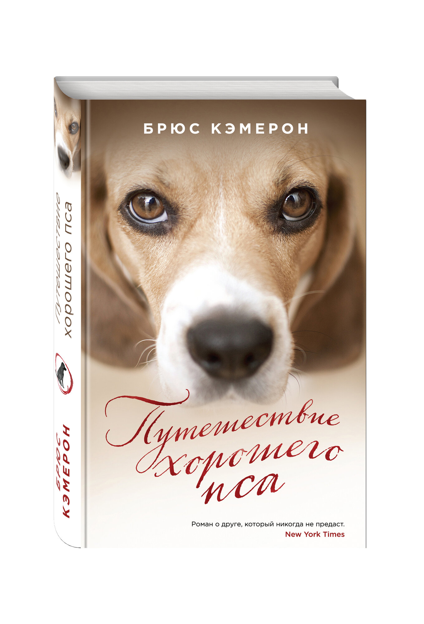 Путешествие хорошего пса