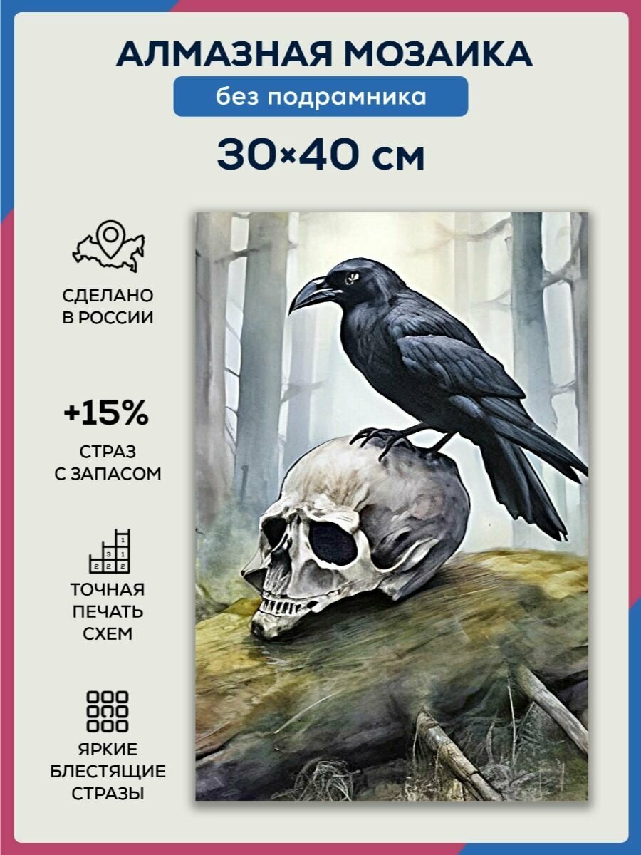 Алмазная мозаика 30x40 Ворон на черепе без подрамника