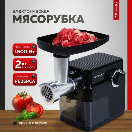 Мясорубка электрическая с насадками и контейнером для хранения Moulin ...