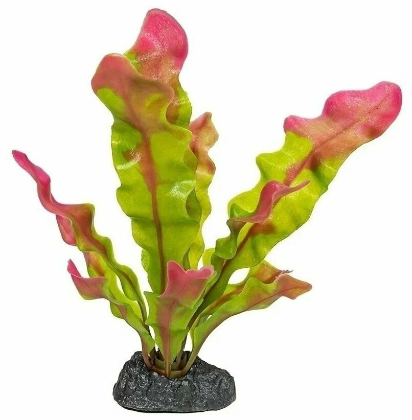 Растение PENN-PLAX, Flowering Crypt, с грузом красно-зеленое, 35 см