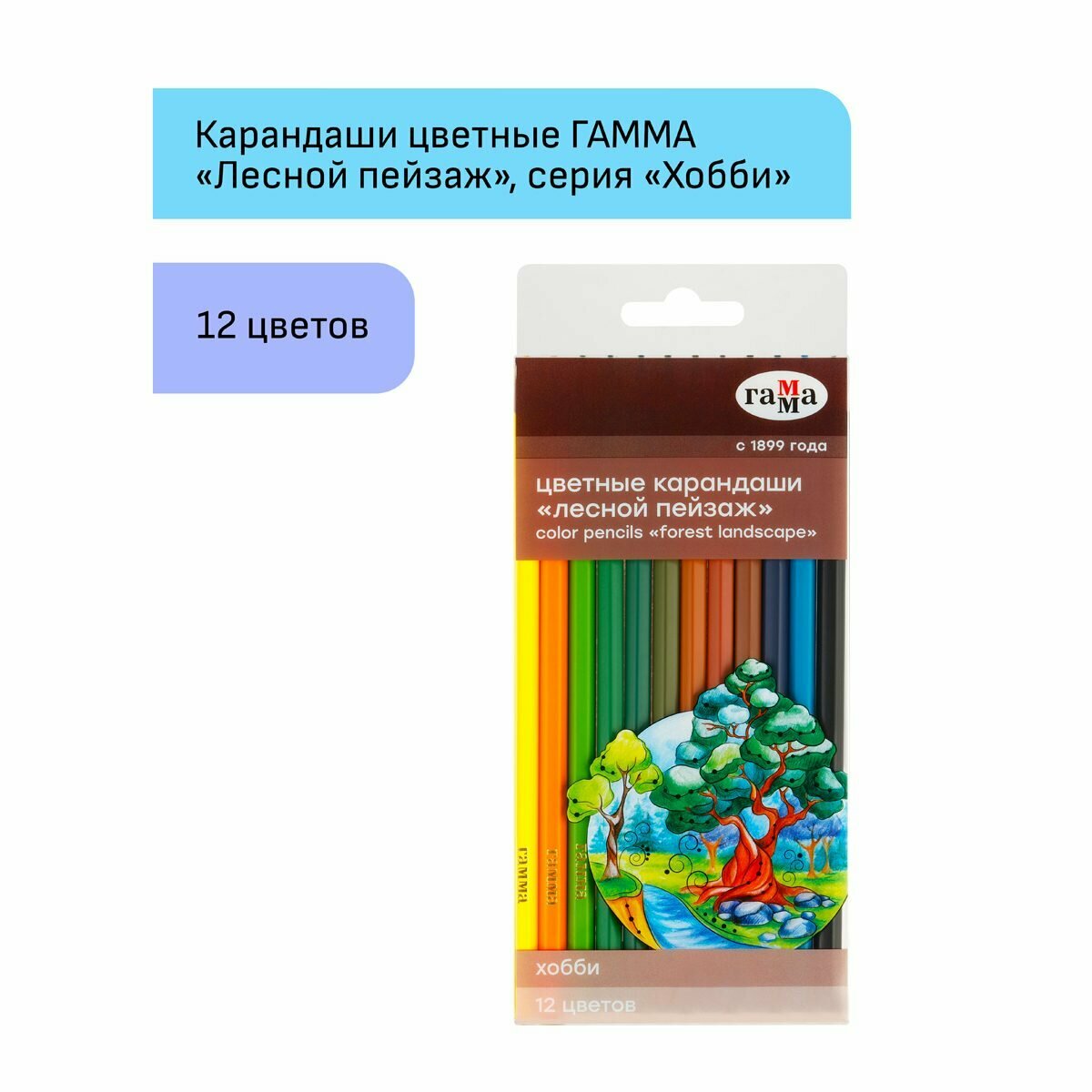 Карандаши цветные 12 цветов Гамма "Хобби. Лесной пейзаж" (L=174мм) ПВХ, европодвес (280620214), 72 уп.