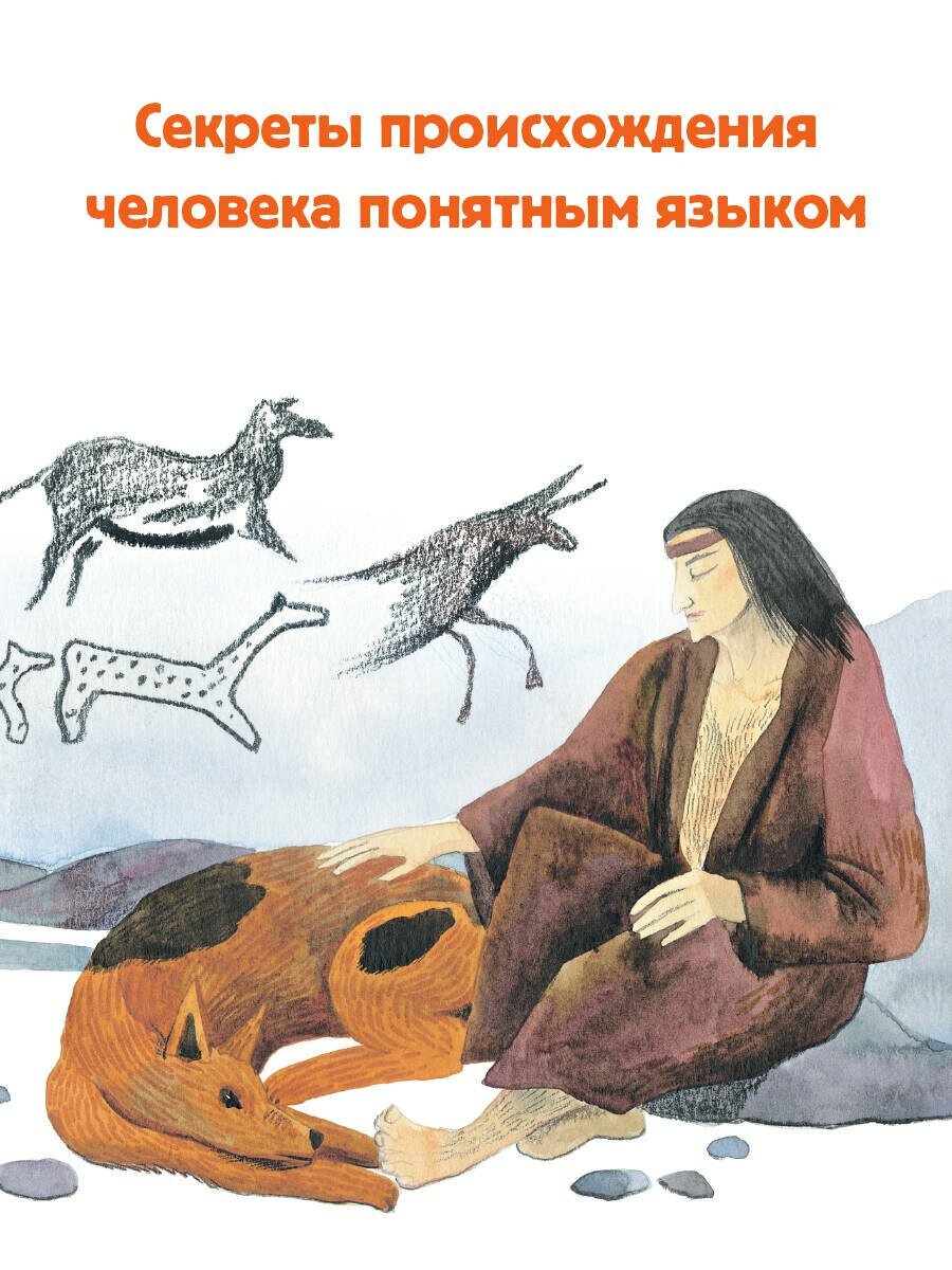 Откуда взялся человек? — фото 1