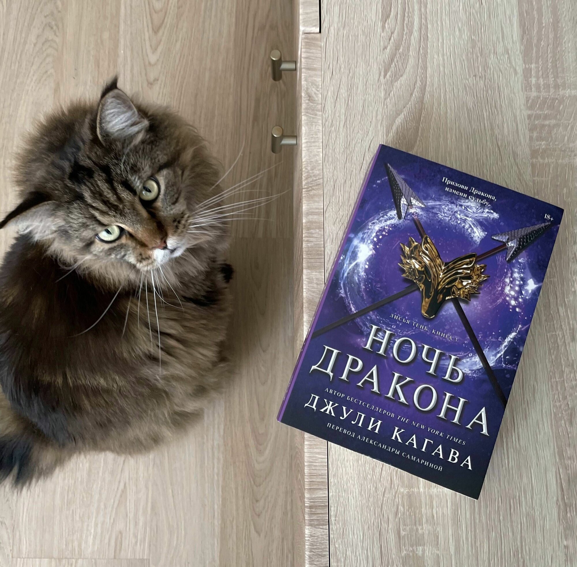 Ночь дракона. Джули Кагава — фото 1