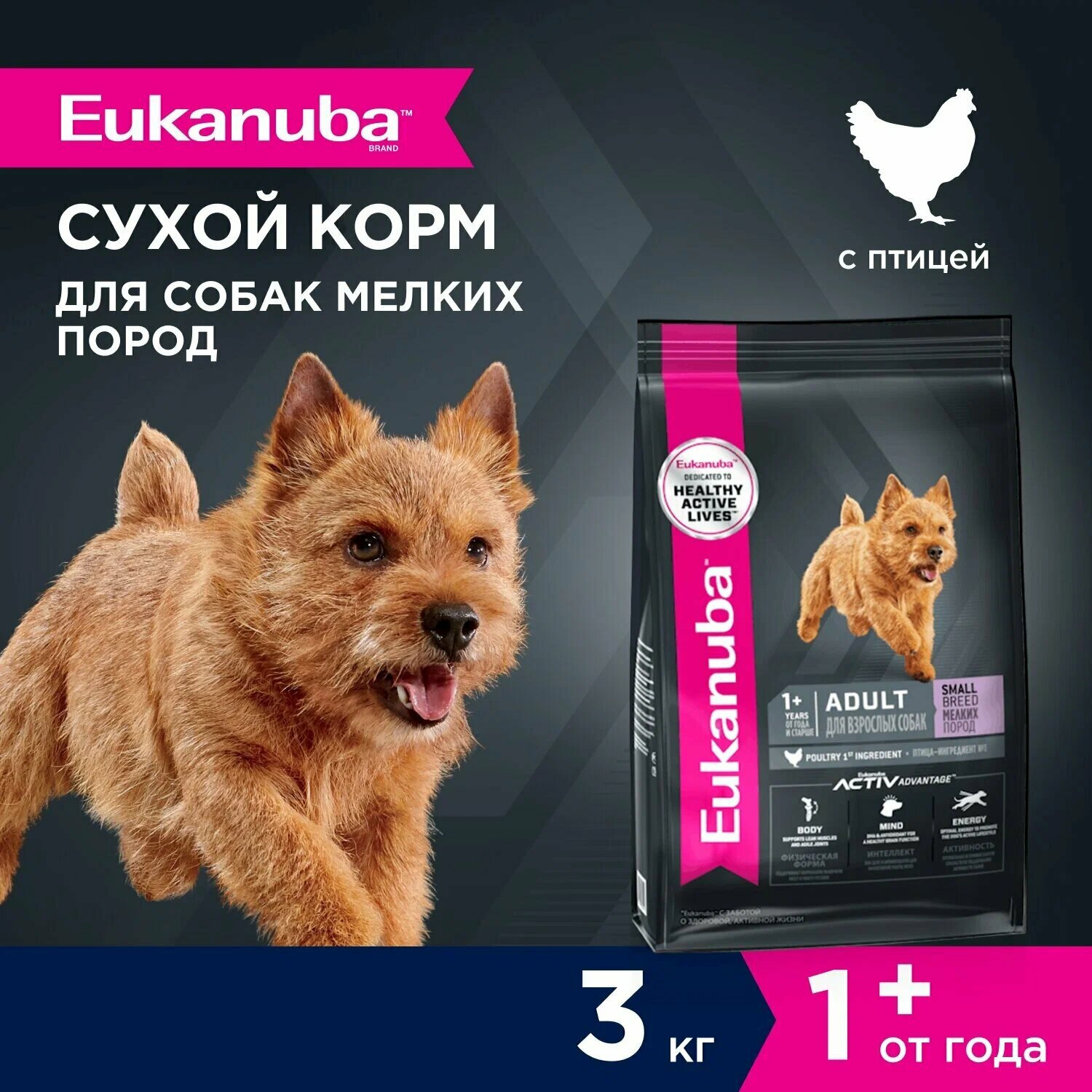 Сухой корм для собак Eukanuba Adult Small Breed корм для собак мелких пород 3кг