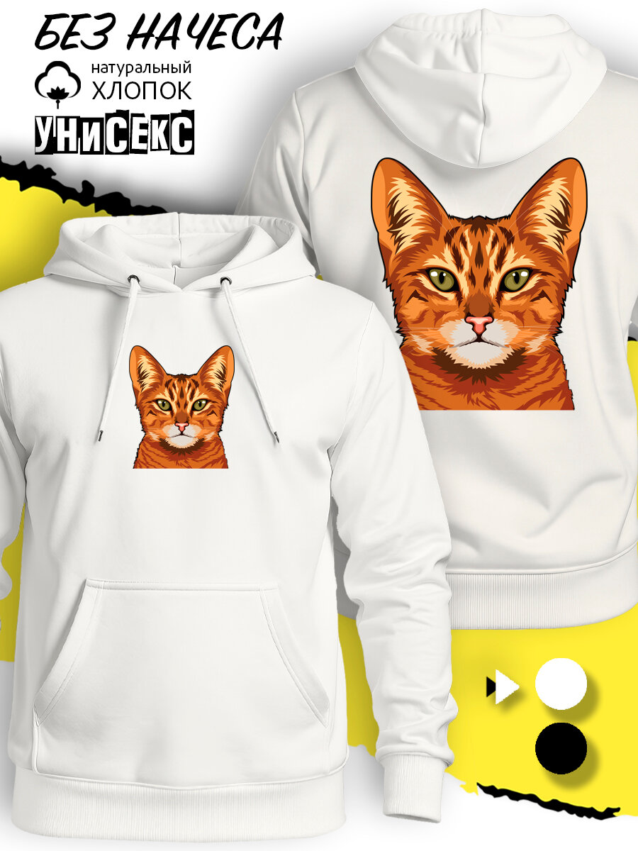 Худи Толстовка свитшот котик