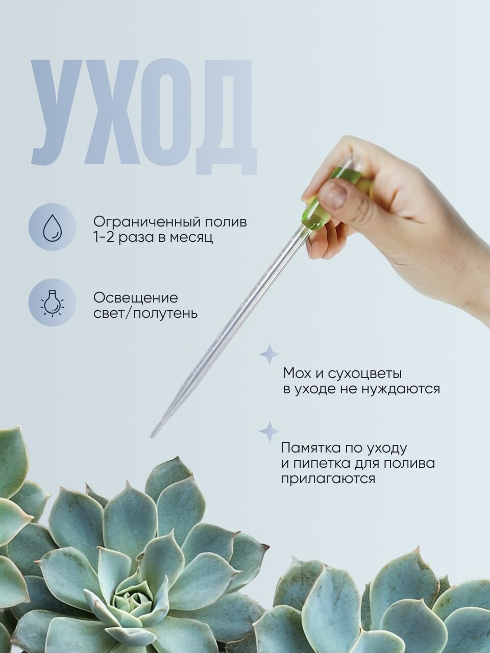 Флорариум/Клошариум — фото 1