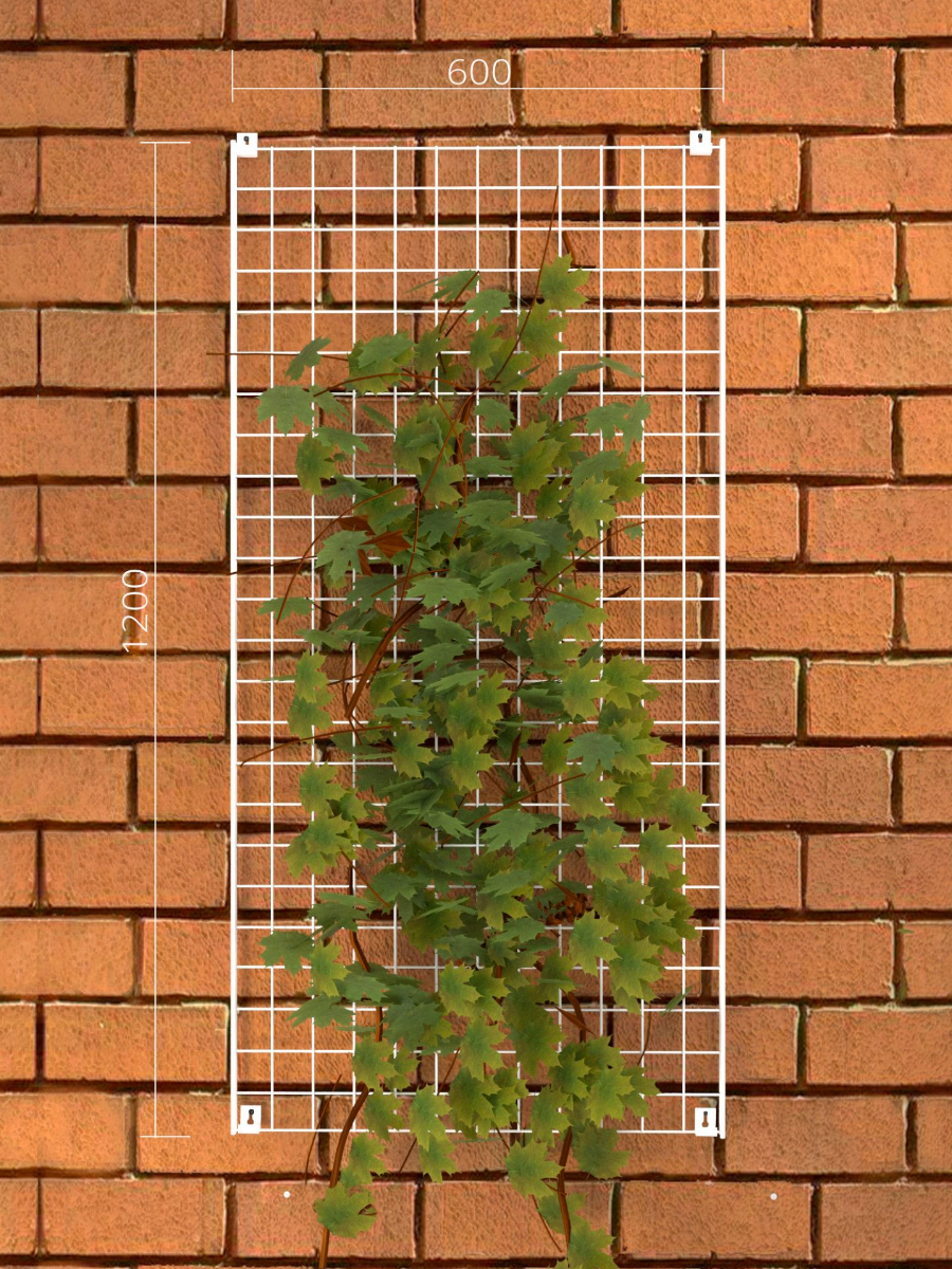 Опора для растений, решетка для растений, мудборд для заметок, рамка для фото, сетка для цветов 1200*600*2