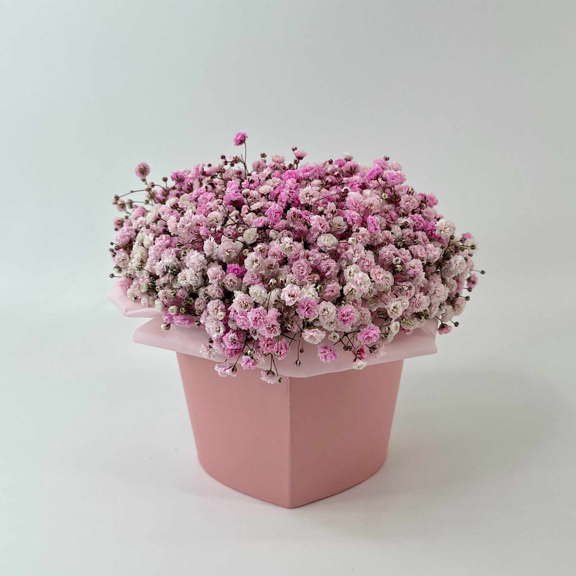 Розовая гипсофила в коробке Amor в виде сердца