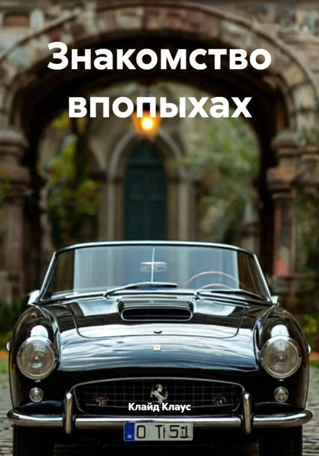 Знакомство впопыхах [Цифровая книга]