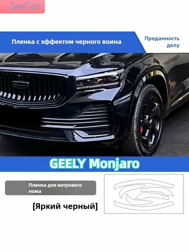 Пленка защитная для салона автомобиля Geely Monjaro