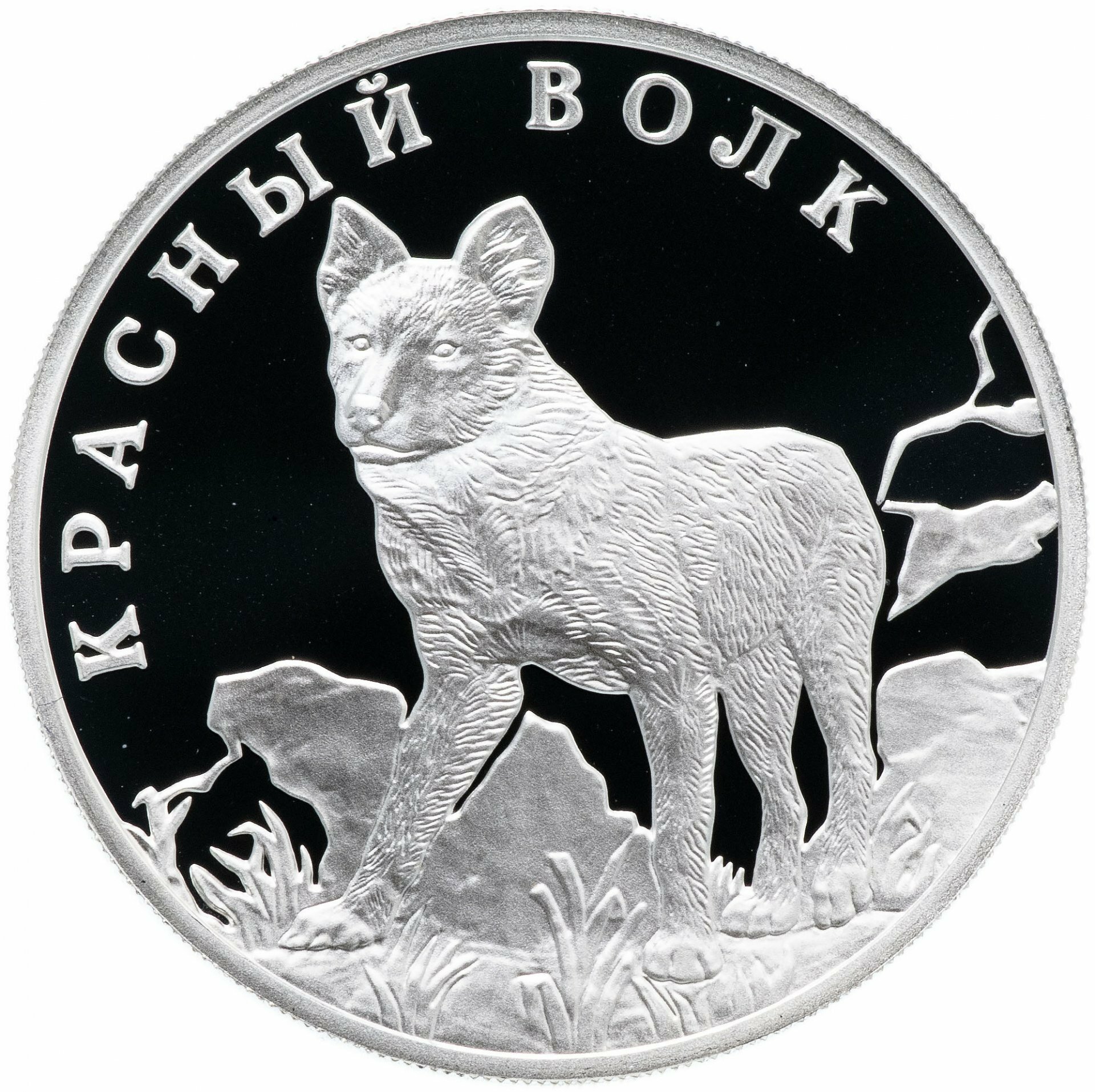 1 рубль 2005 СПМД Proof "Красная книга - Красный волк", Серебро 925