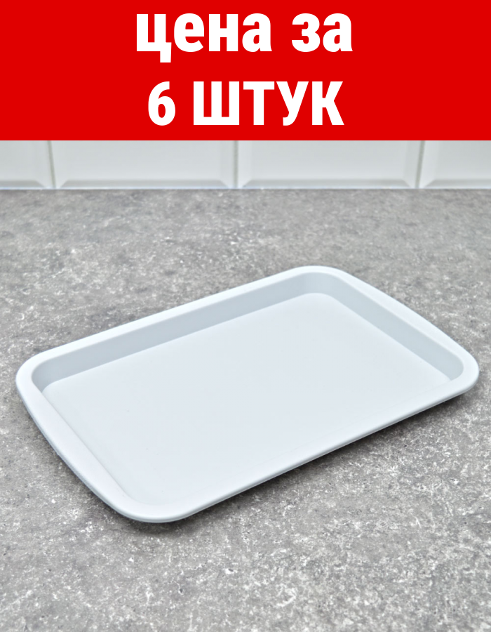 Комплект 6 шт, Поднос универсальный 293*193*20мм