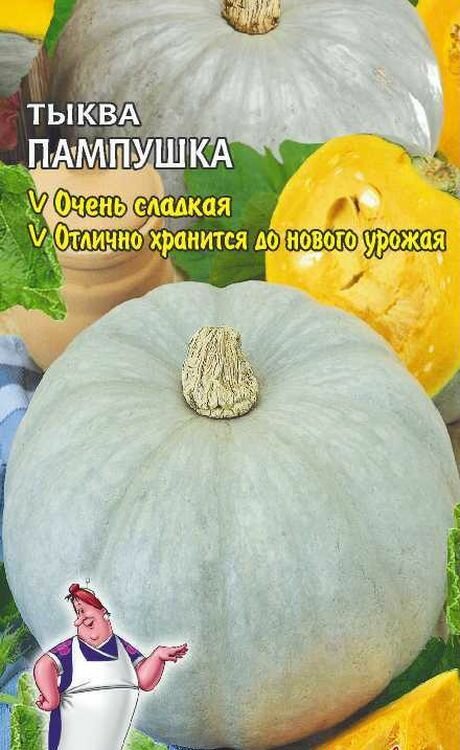 Тыква Пампушка — фото 1