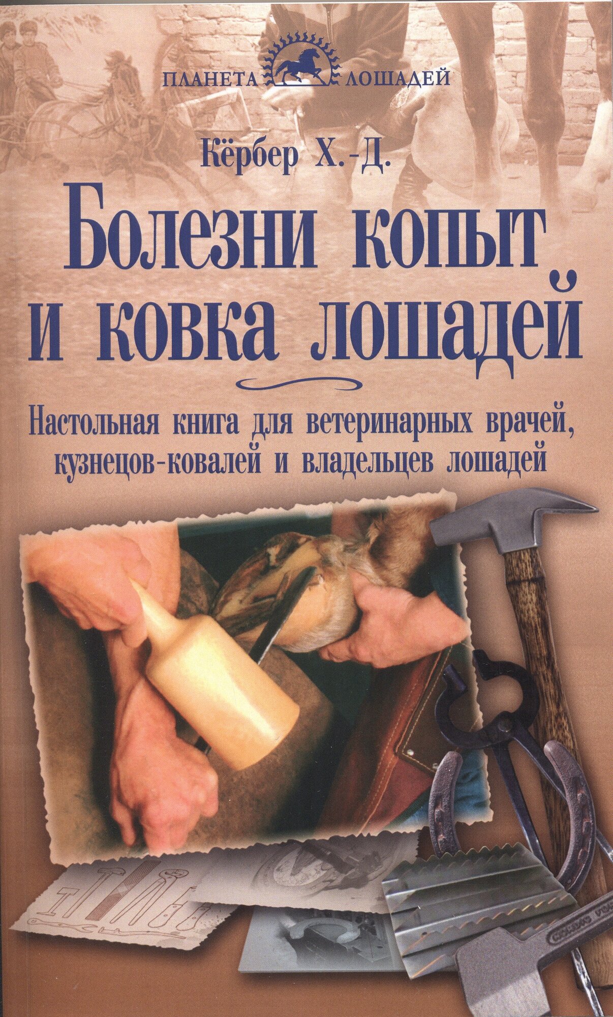 Болезни копыт и ковка лошадей