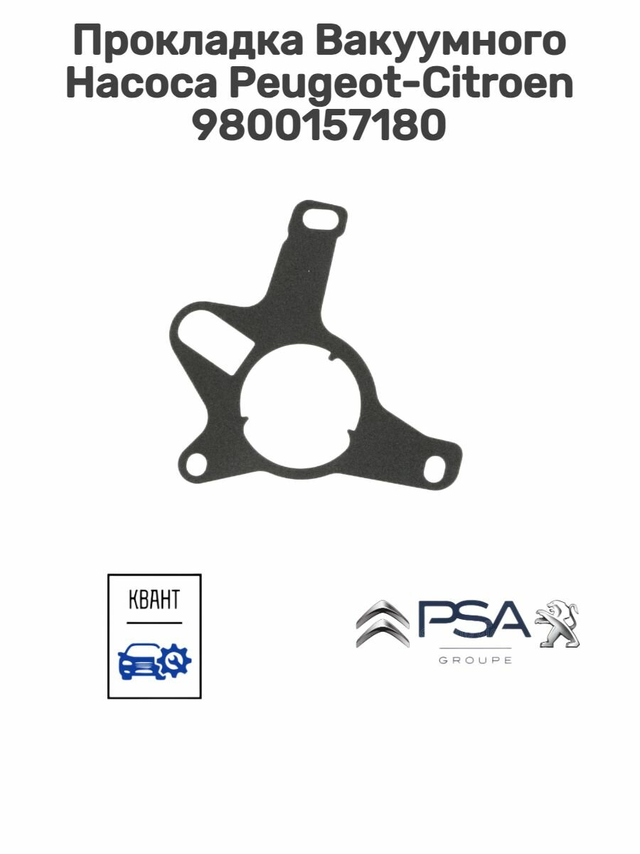 Прокладка Вакуумного Насоса Peugeot-Citroen 9800157180