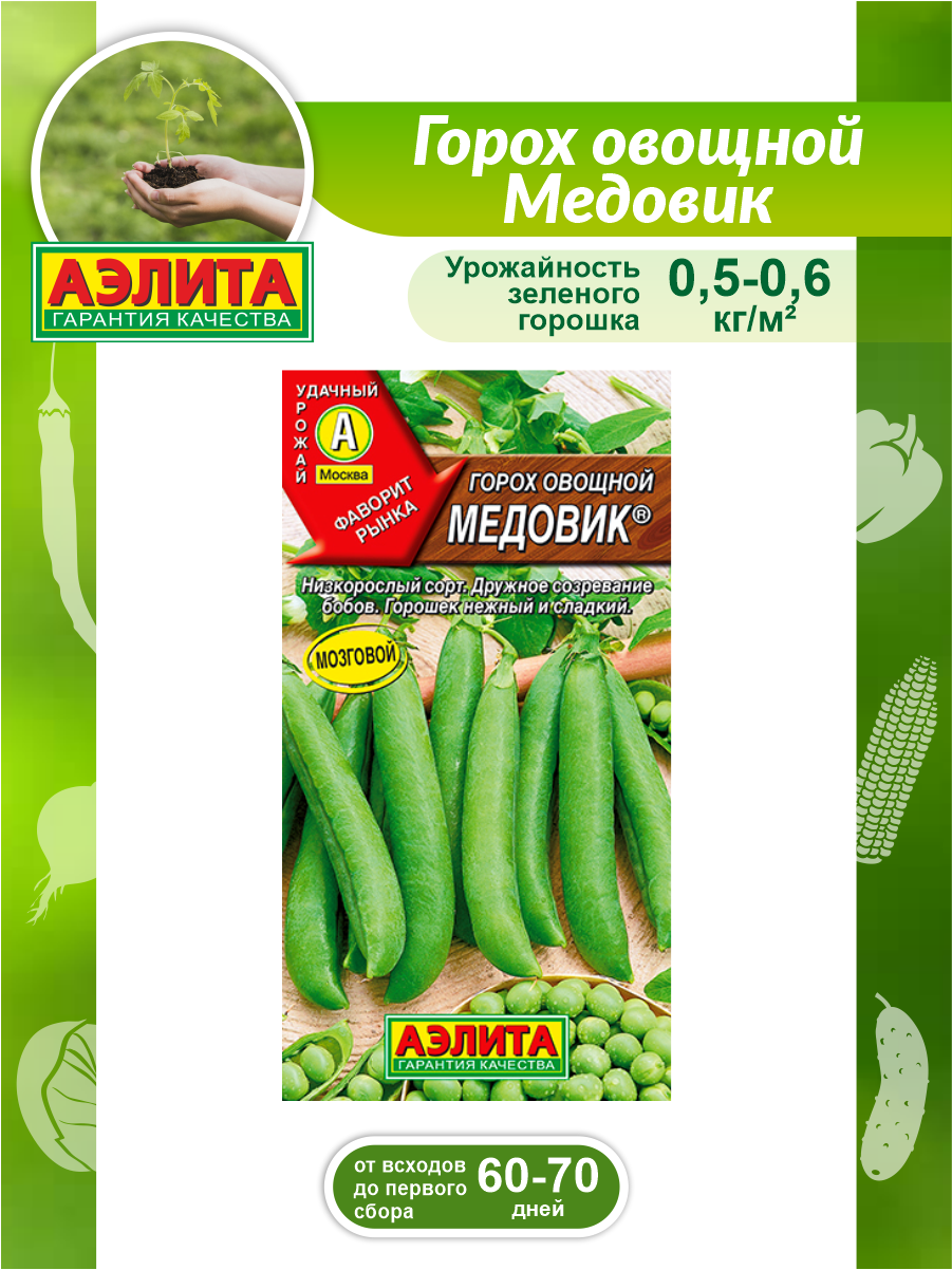 Семена Горох овощной Медовик - Лущильный 10 гр.