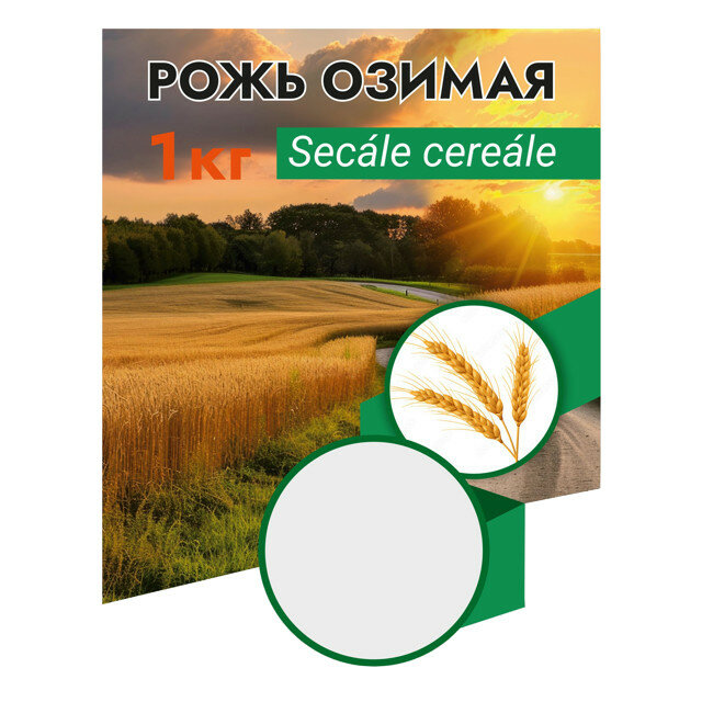 Семена сидератов рожь озимая 1 кг - зеленое удобрение и почвенный покров и защита почвы