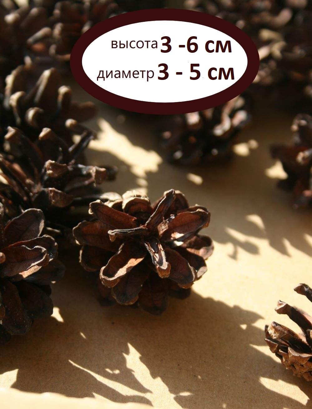 Шишки сосновые чистые для декора и поделок, набор 30 шт в коробке