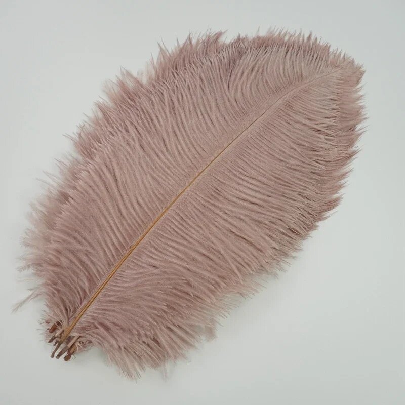 10 шт, разноцветные страусиные перья Xywae 15-20cm 6-8inch, Bean Paste