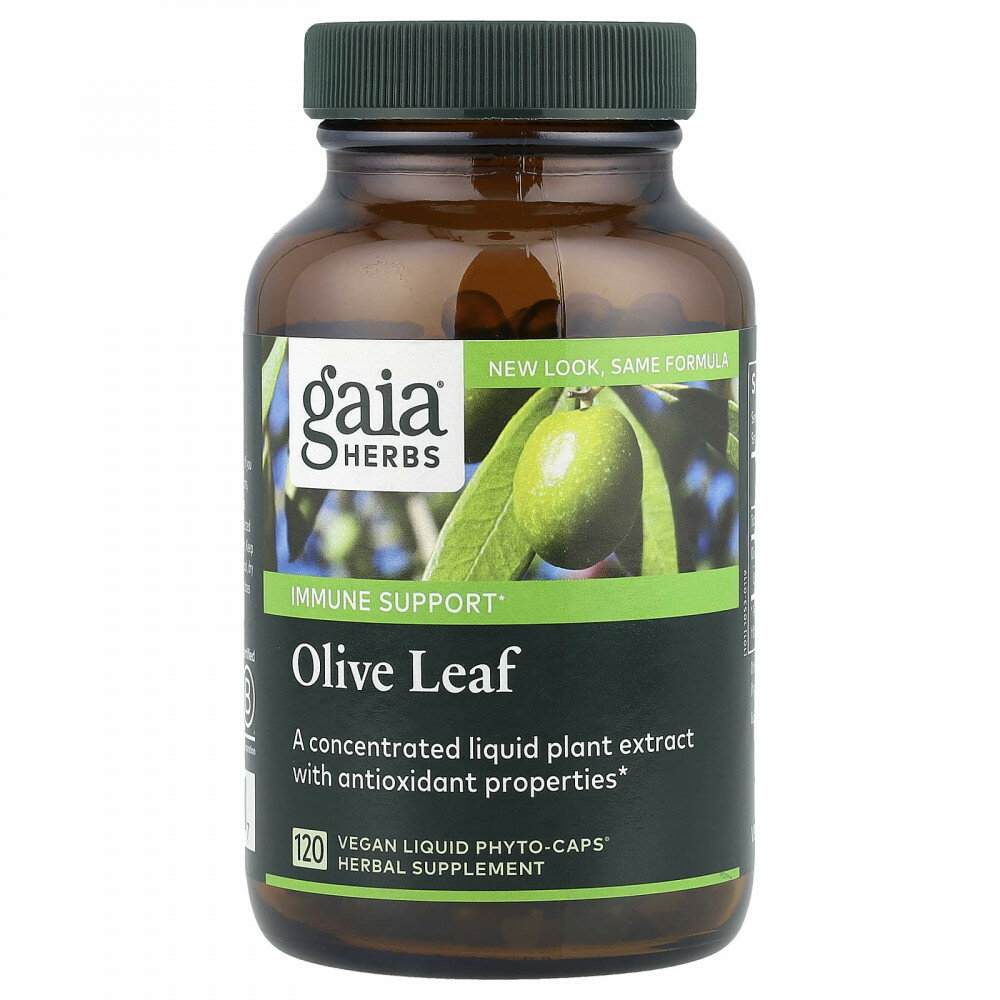 Gaia Herbs, лист оливкового дерева, 120 капсул Phyto-Caps®
