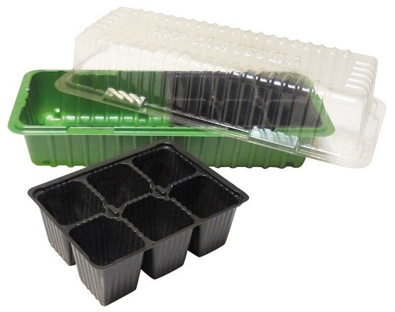Мини парник с крышкой, 2 вставки, из полистирола, 39х16х6см, 12 ячеек / товары для рассады